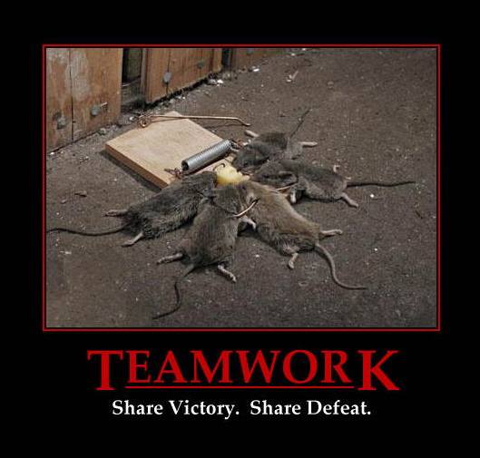 Master Marf Motivational Monday Teamwork